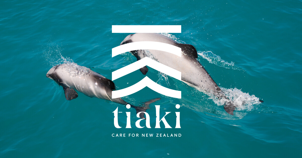 Tiaki Promise - Akaroa Dolphins